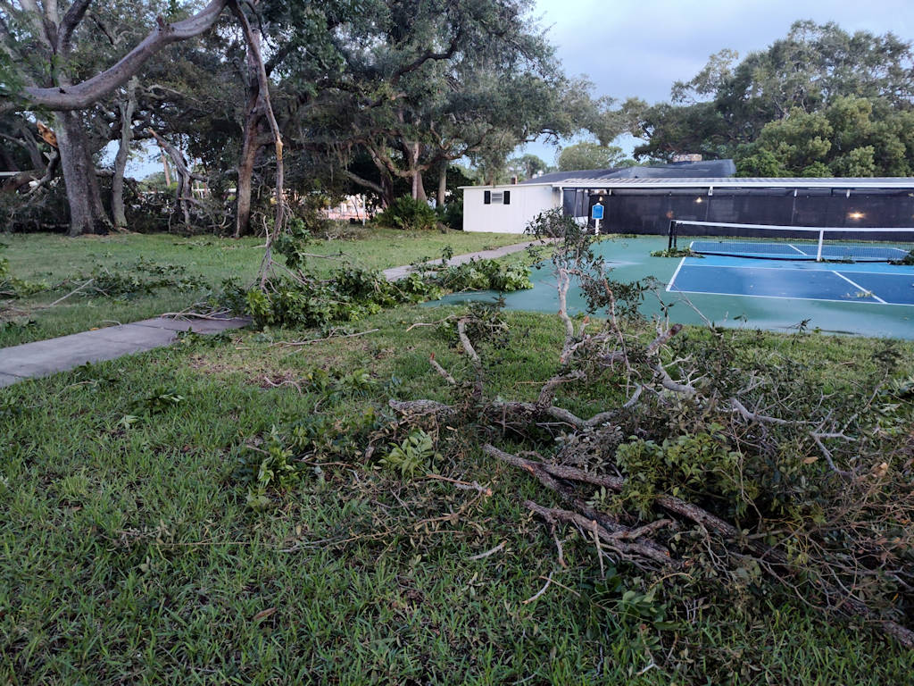 Before and After Hurricane Helene | Bad Cat Chris