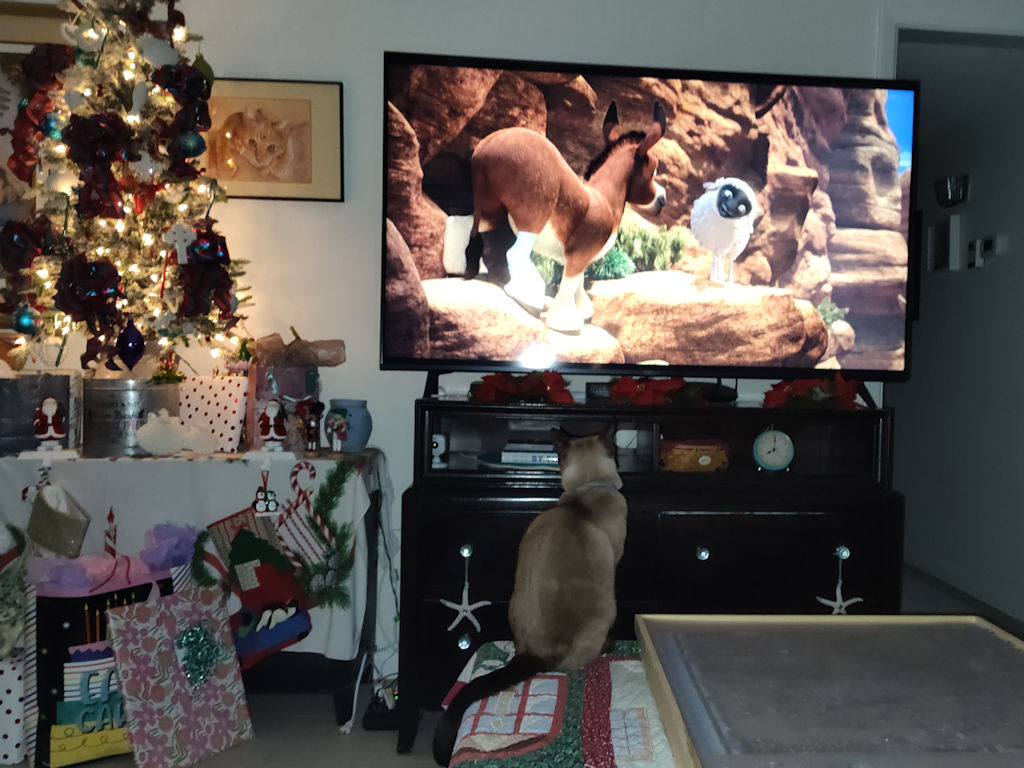 Floki Likes “The Star” | Bad Cat Chris