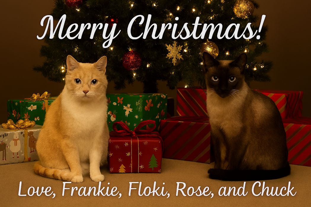 We Wish You a Merry Christmas | Bad Cat Chris